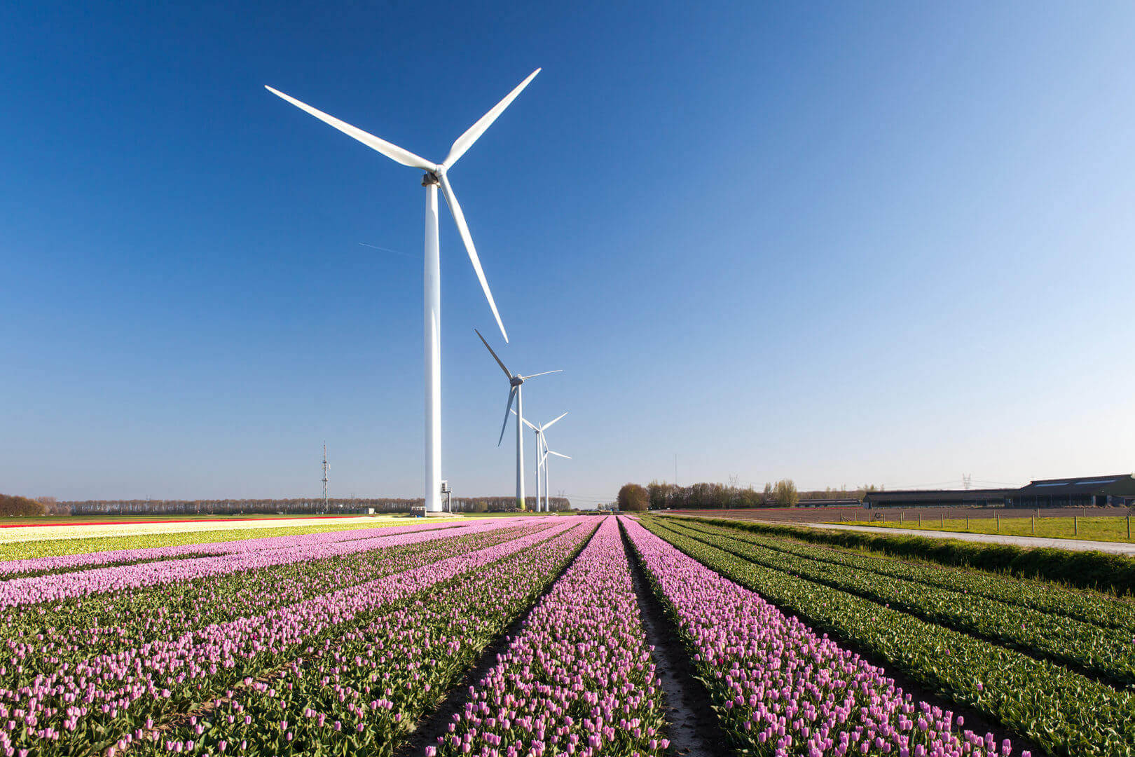 overview POMA Group - Ropeway and Cable Transport