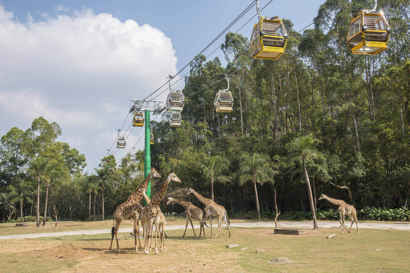 2S 3S gondola lift POMA • high-performance ropeways