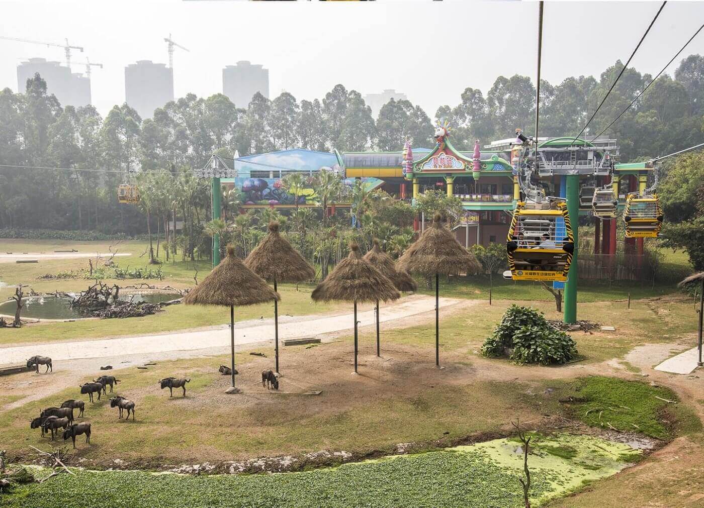 Chimelong Safari Park Cable Car : la télécabine en triangle POMA